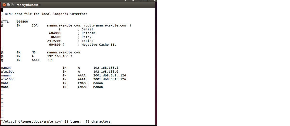 Your Ultimate Guide to DNS Troubleshooting